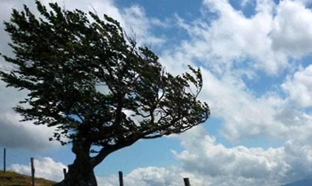 REGIONE - Allerta meteo: torna il forte vento - Il Giornale Nuovo.it